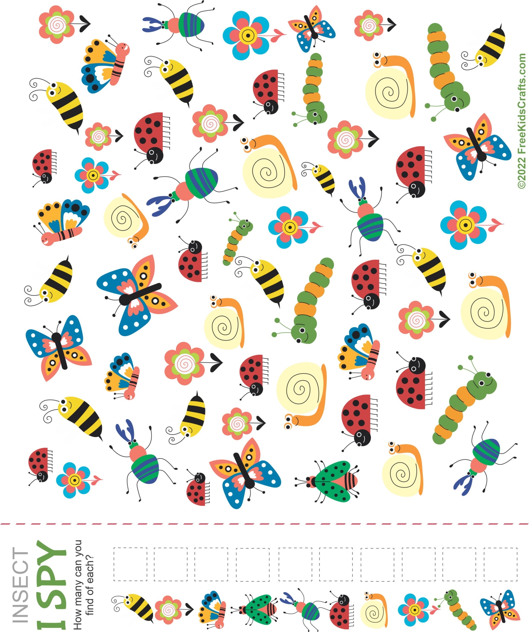 I Spy Insects Activity Worksheet