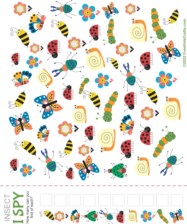 I Spy Insects Activity Worksheet