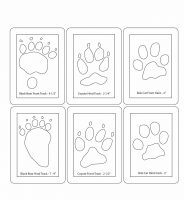 Paw Print Memory Game