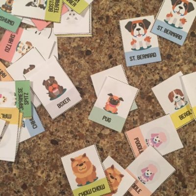 DIY Olympic Memory Game