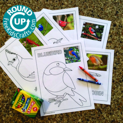 Good Citizen Craft and Activities Roundup